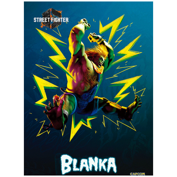 Pixel Frames Plax Street Fighter 6: Blanka 10" X 12" Lenticular 3D Art ...