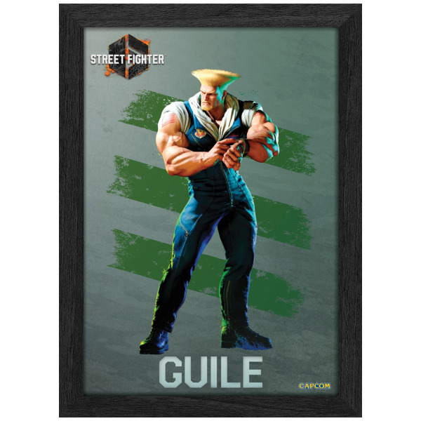 Pixel Frames Plax Street Fighter 6: Guile 10" X 12" Lenticular 3D Art ...