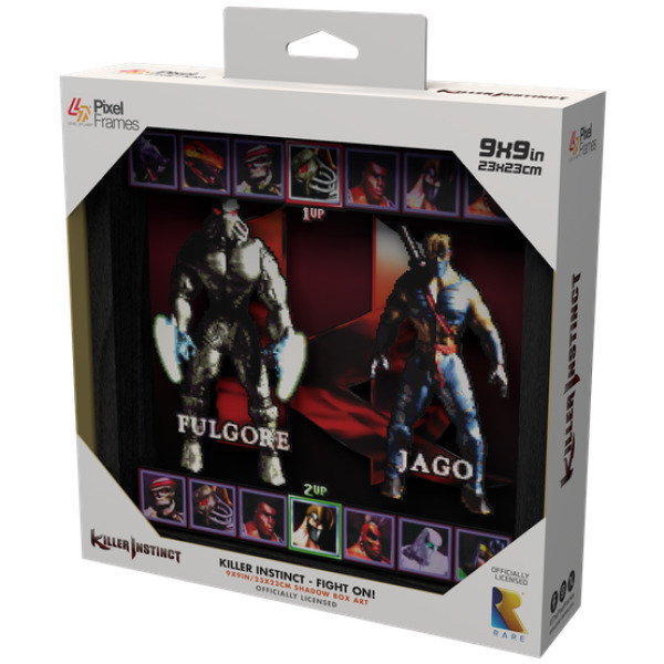 Killer Instinct: Fight On 9"X9" Pixel Frame 3D Pixel Box Art - PNP ...