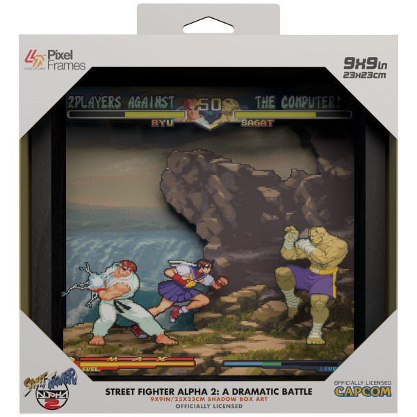 Street Fighter Alpha 2: A Dramatic Battle 9" X 9" Pixel Frame 3D Pixel ...