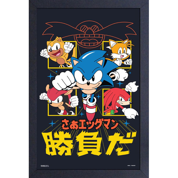 Sonic the Hedgehog Character Group Japanese 11" X 17" Framed Print ...