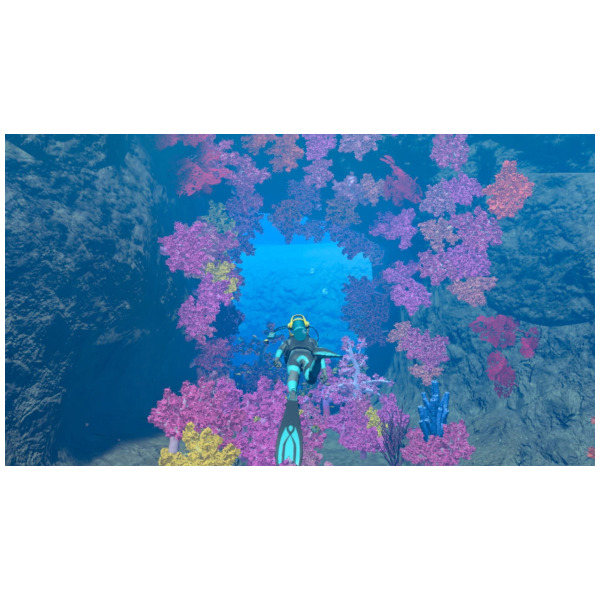 Endless Ocean Luminous - Switch - - PNP Games Online Store